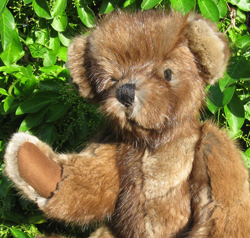 Bears & Critters | Bears the old fashion way.